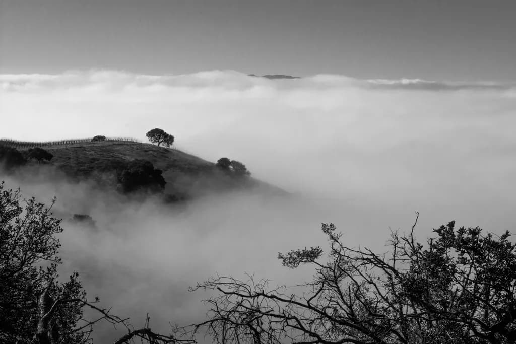 Misty Skyline by Chris Purdy Landscapes