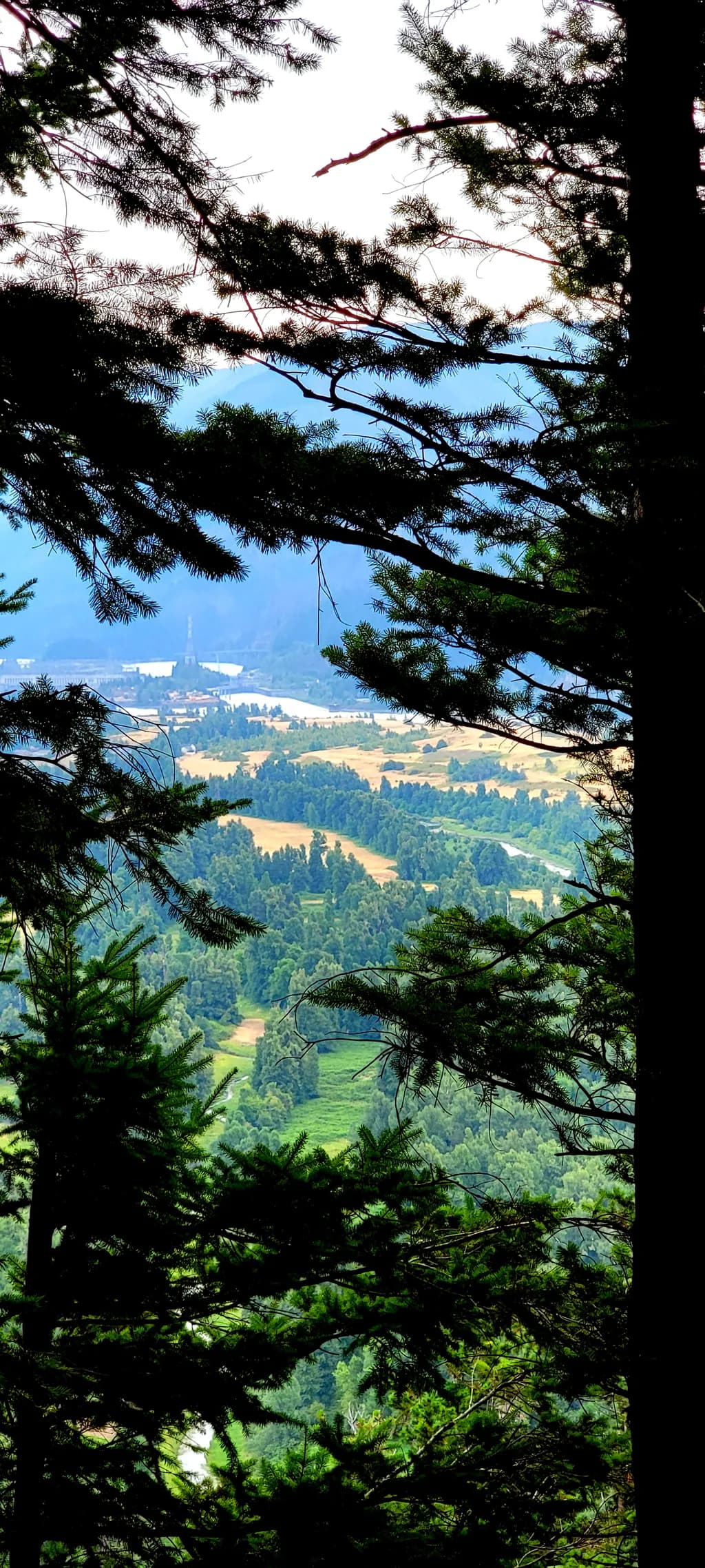 Beacon Rock View by InYourBackYard