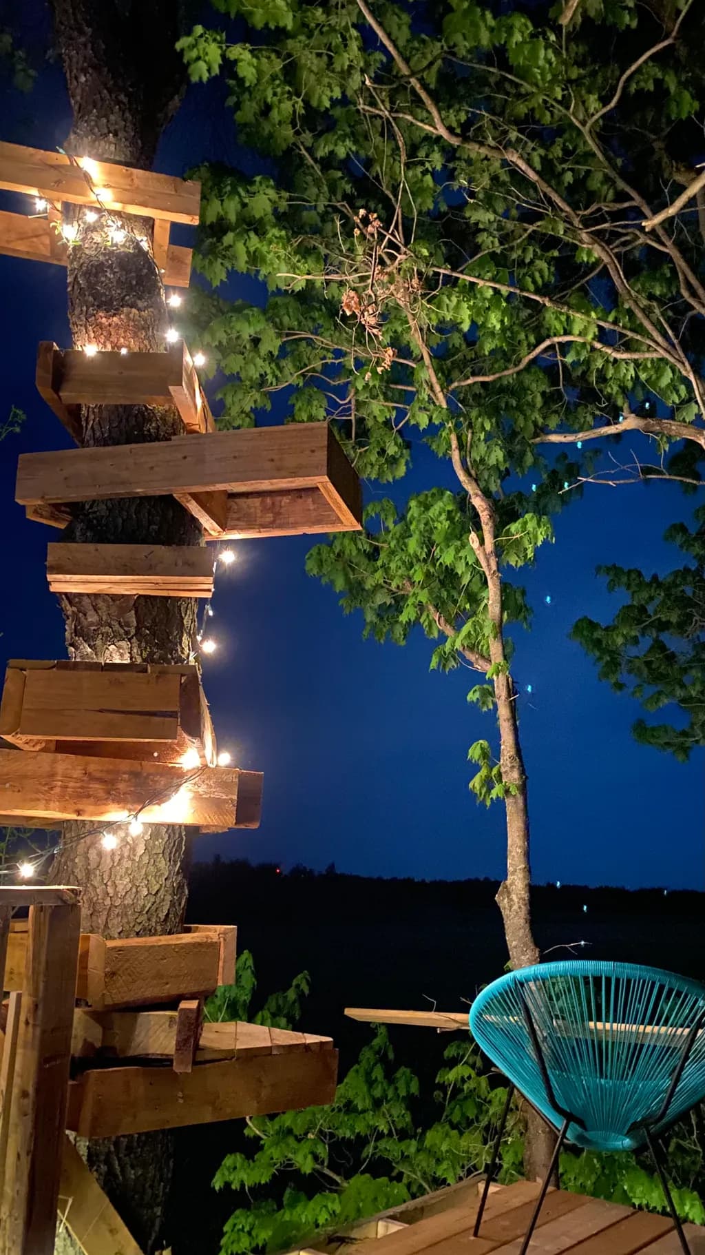 Cozy Treehouse Glow by The Lane Collective