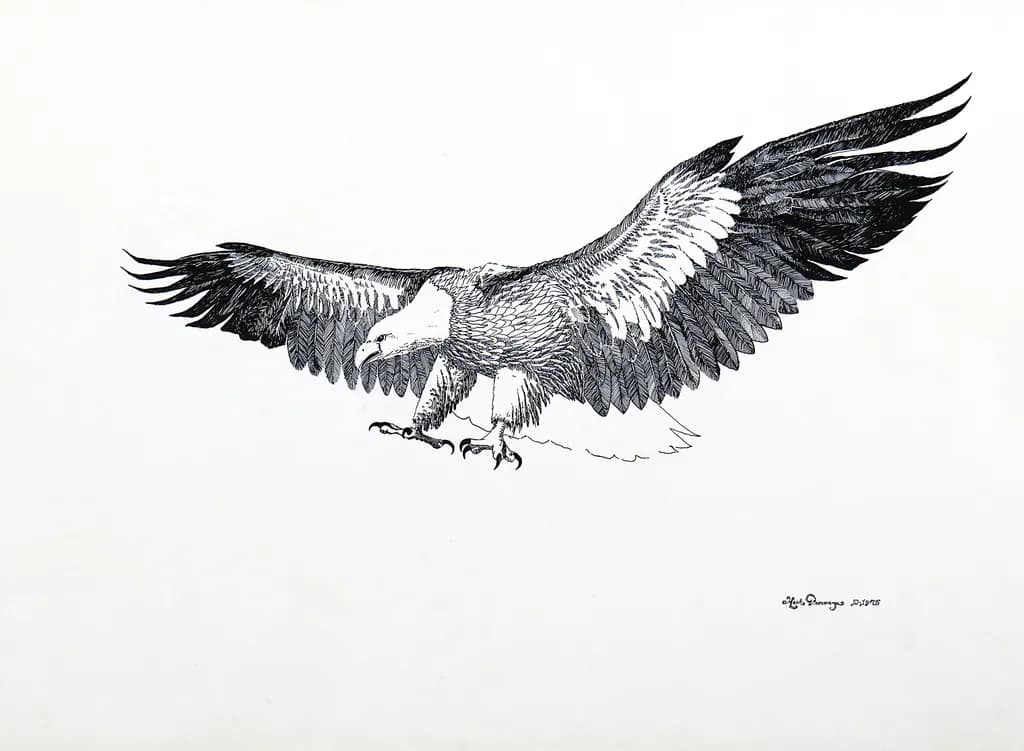 Soaring by J. Mark Provenza