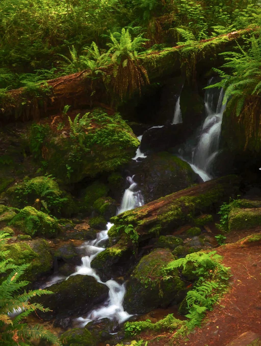 Forest Serenity by Jeri Abel Photo Art