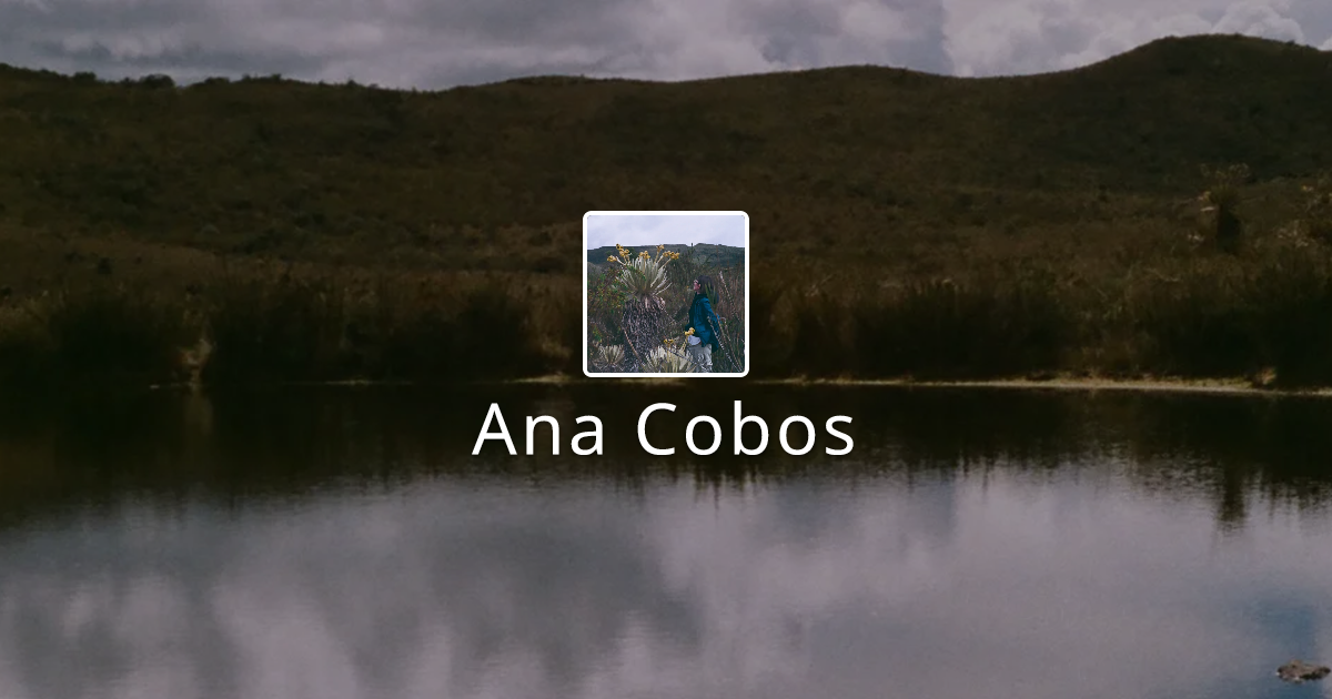 Ana Cobos | ArtHelper