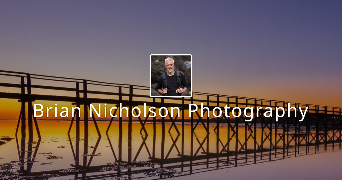 Brian Nicholson Photography | ArtHelper