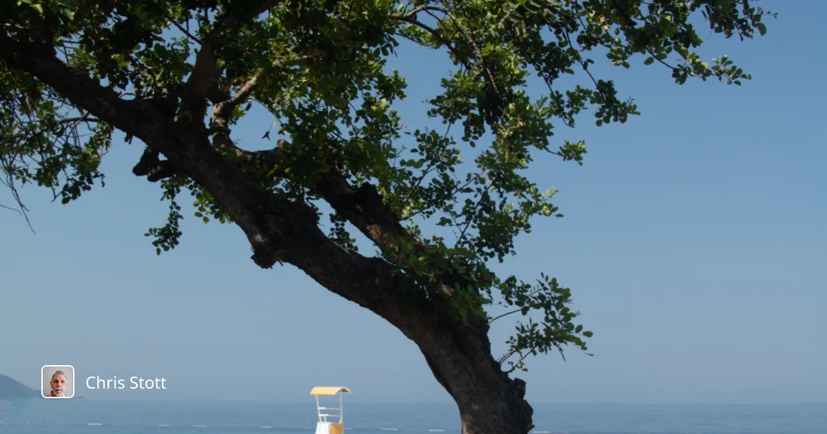 Coastal Pathway by Chris Stott