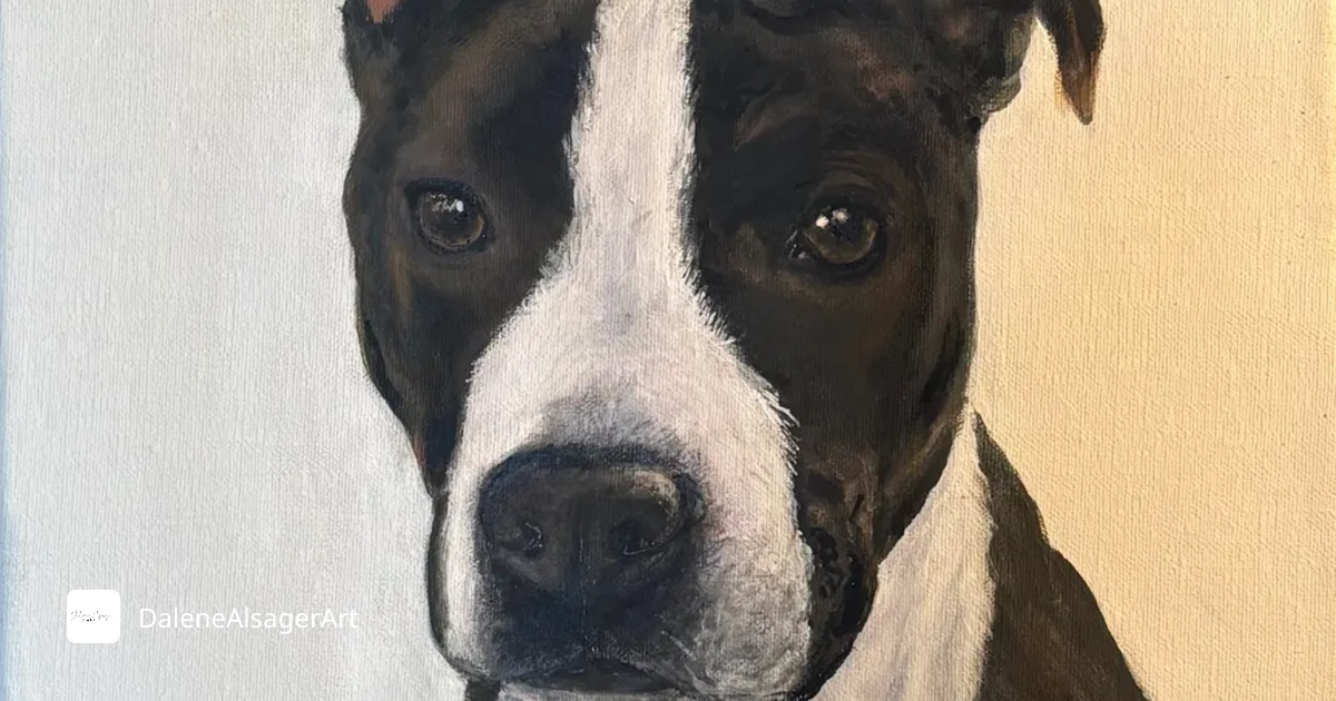 Black and White Canine Portrait by DaleneAlsagerArt