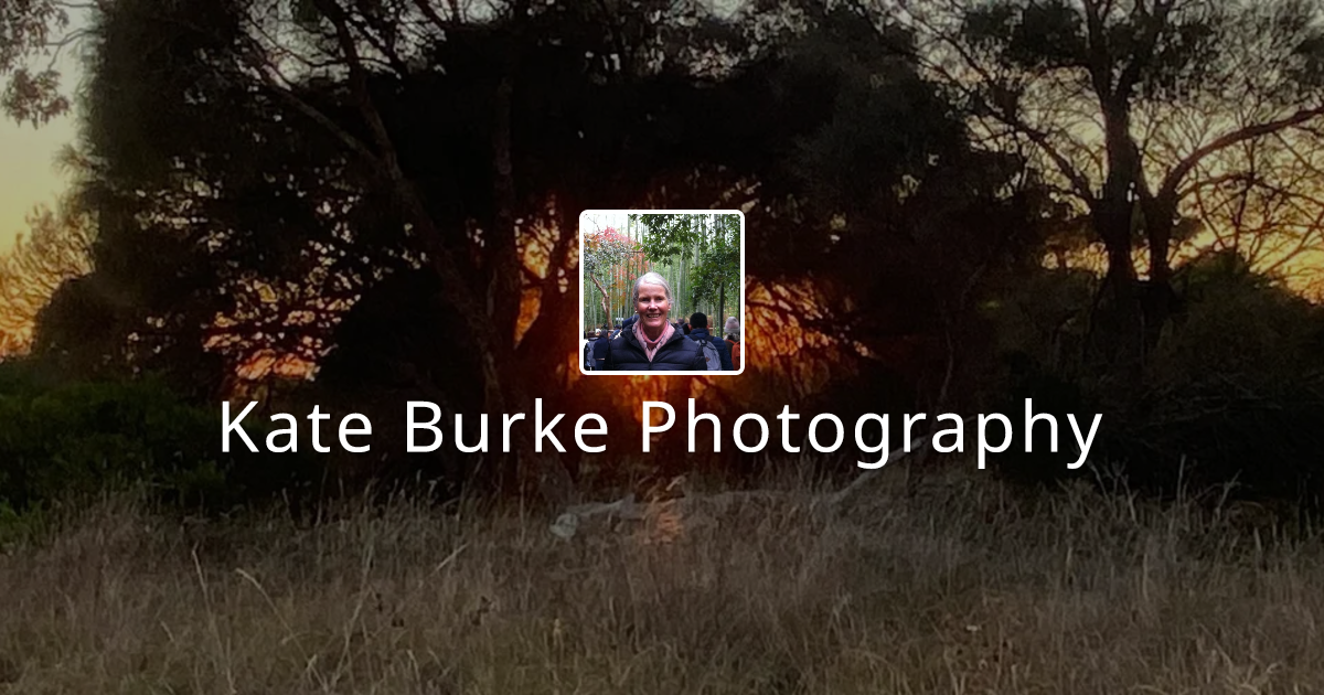 Kate Burke Photography | ArtHelper