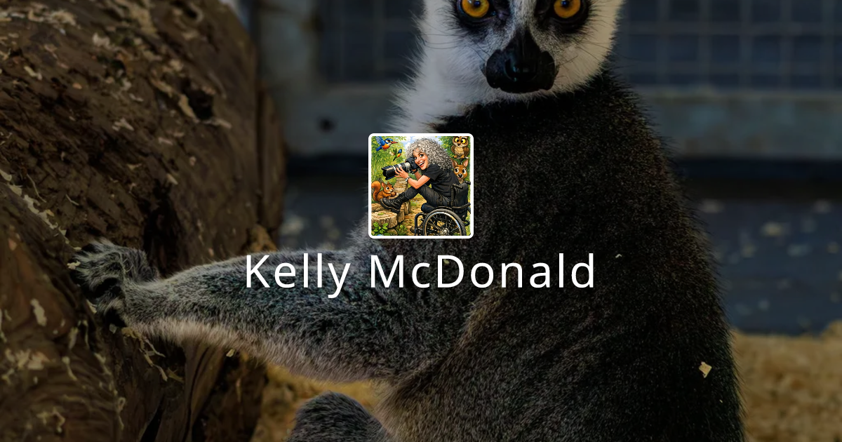 Kelly McDonald | ArtHelper