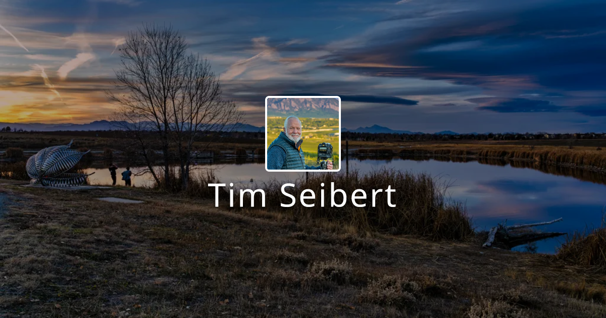 Tim Seibert | ArtHelper